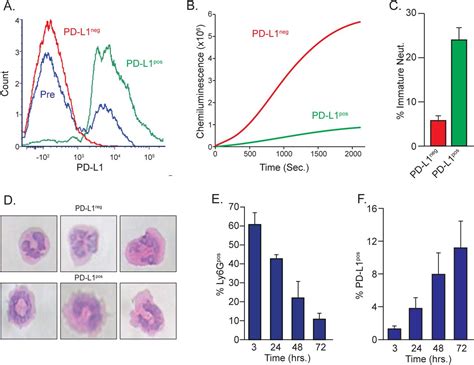 The Pd L1 Pd 1 Axis Blocks Neutrophil Cytotoxicity In Cancer Biorxiv