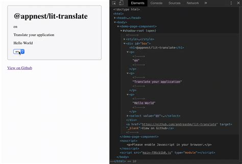 lit translate npm
