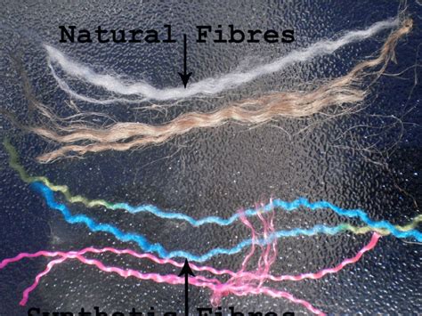 forensics fiber analysis by elisabeth staten