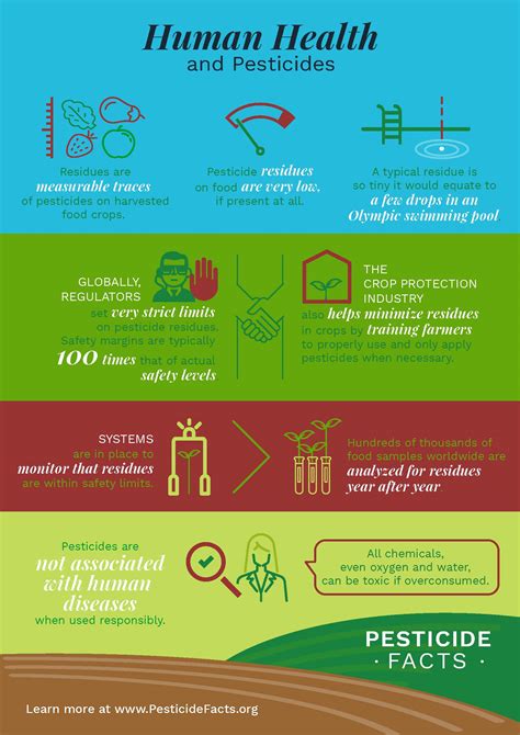Infographic 3 Human Health And Pesticides Pesticide Facts