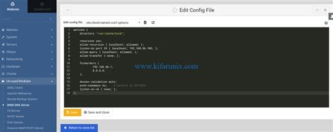 setup bind dns using webmin on debian 10