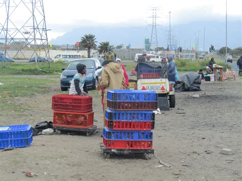 Informal Economies Are Diverse South African Policies Need To