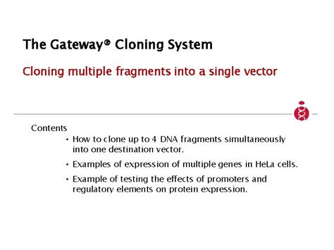 The Gateway Cloning System Cloning Multiple Fragments Into