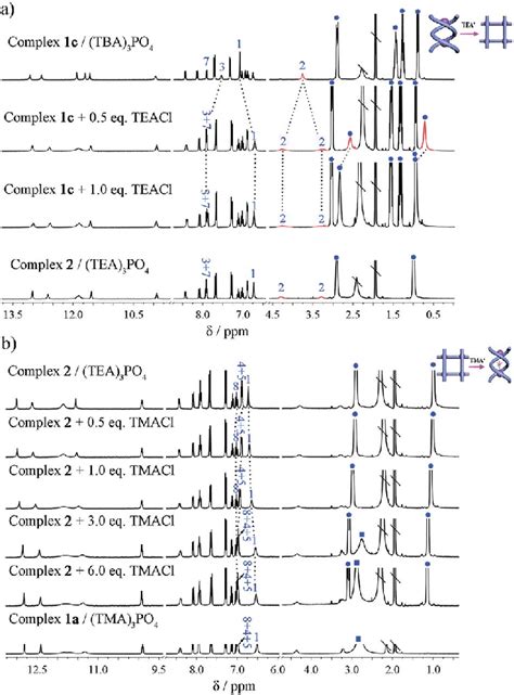 Partial 1 H Nmr Titration Spectra Demonstrating The Interconversion Of