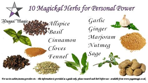 10 Magickal Herbs For Personal Power Magickal Herbs Herbs Healing Herbs