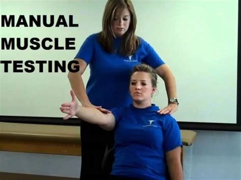 Manual Muscle Testing Grading Scale For Mmt Mmt Examining 56 Off