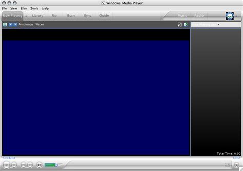 windows media player 10 what runs codeweavers