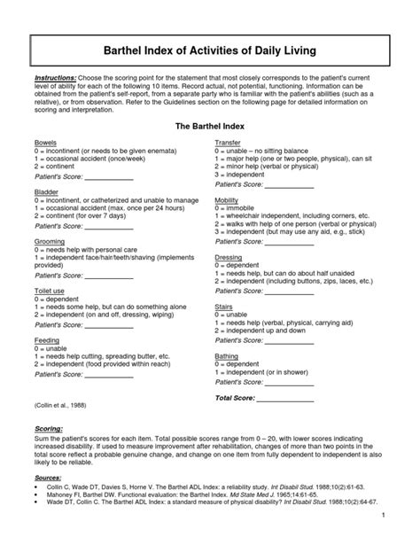 Barthel Index 0 20