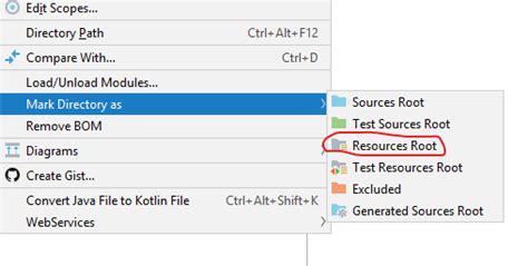 java when using intellij cmd line template where can