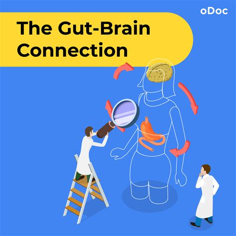 The Gut Brain Connection From The Odoc Blog