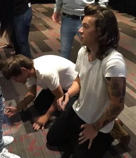 Larry Stylinson 2015 Harry And Louis On Their Hands And Knees