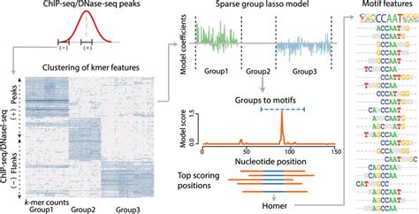 seqgl identifies binding profiles in genome wide regulatory maps seqgl