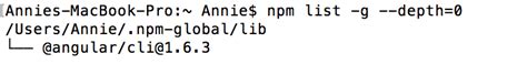 angular cli ng command not found in terminal stack