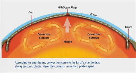 Kettle Convection Plate At Patty Clark Blog