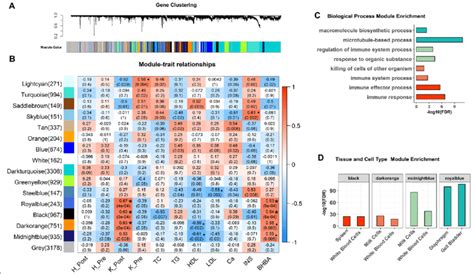 The Weighted Gene Correlation Network Analysis Wgcna For 24 Rna Seq