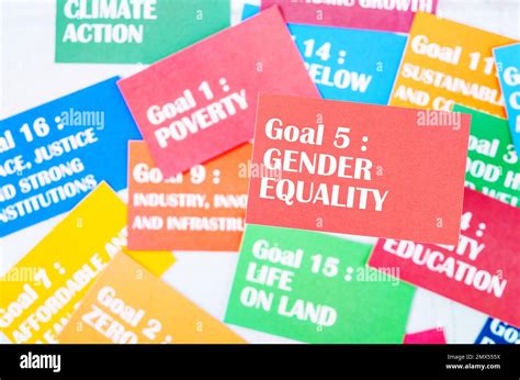 Goal 5 Gender Equality The Sdgs 17 Development Goals Environment