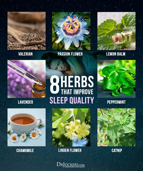 8 Herbs That Improve Sleep Quality