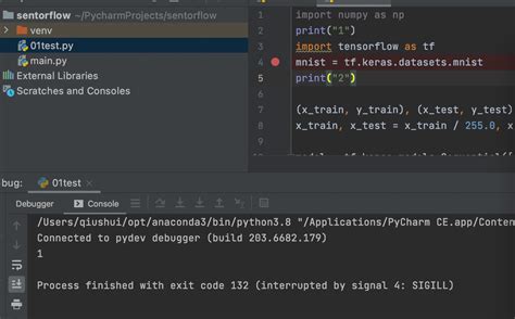 process finished with exit code 132 interrupted by signal 4 sigill