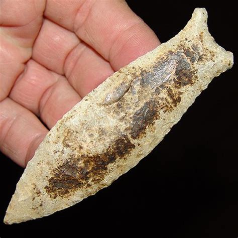 Huge Beaver Lake Native American Artifacts Indian Artifacts Artifacts