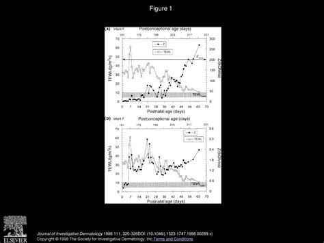 Development Of Skin Barrier Function In Premature Infants Ppt Download