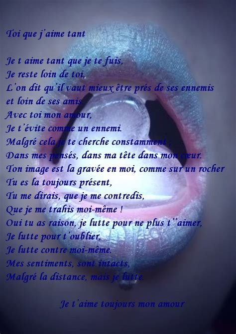 Profil De Antonellalaseul