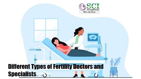 Different Types Of Fertility Doctors And Specialists