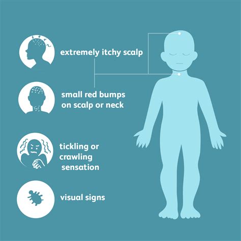 Head Lice Symptoms Causes Treatments Clear Skin Clini