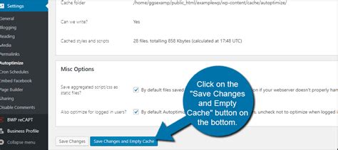 how to eliminate render blocking javascript and css in wordpress