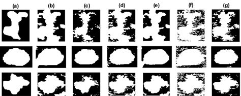 Comparison Of Segmentation Using A Ground Truth Manual Delineation
