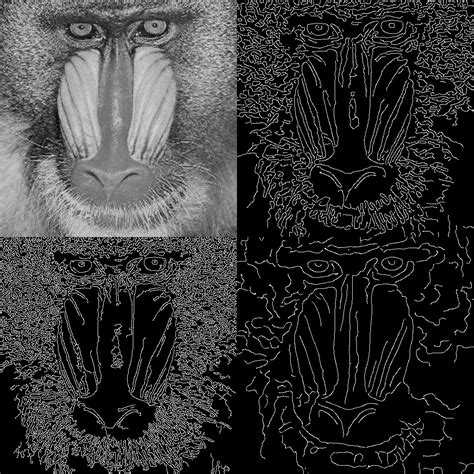 home · imageedgedetection jl