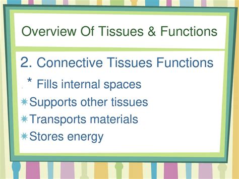 Chapter 3 Tissues Ppt Download