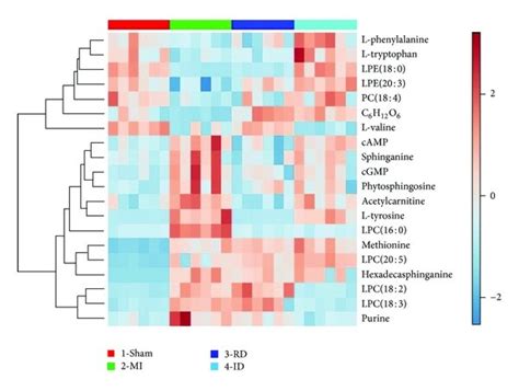 Heat Map Visualization Based On The Levels Of Potential Biomarkers In
