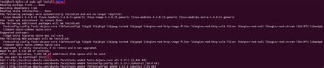 install nginx on ubuntu 20 04 lts techvblogs