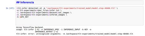 tlt infer unrecognized arguments tao toolkit nvidia developer forums
