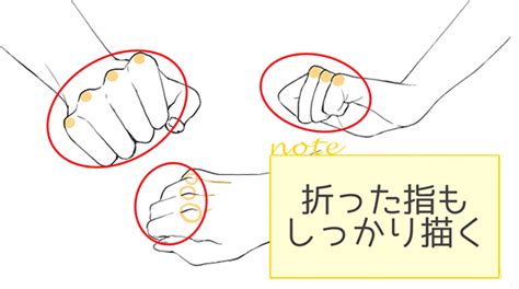 手や指のイラストの描き方講座。構造理解のコツ・描き分け参考資料も！ ｜お絵かき講座パルミー
