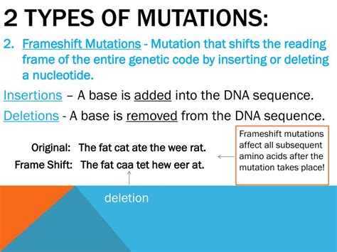 Ppt Gene Expression And Mutations In Dna Powerpoint Presentation Id