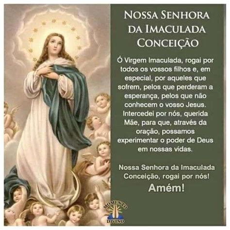 Oração à Nossa Senhora Da Imaculada Conceição Recado X 3169