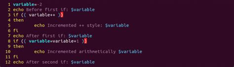 bash if elif else statement a comprehensive tutorial with examples
