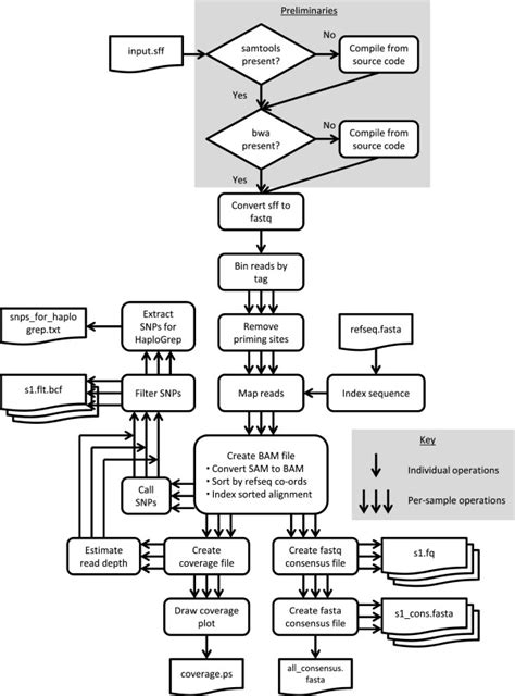 Steps In The Bioinformatics Pipeline The Pipeline Automatically