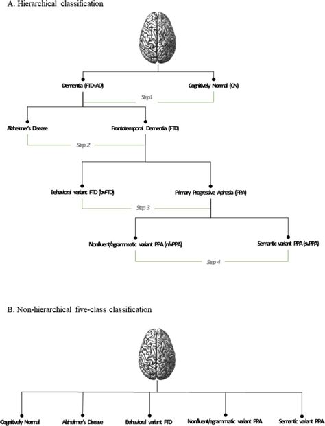 Schematic View Of A Hierarchical And B Non Hierarchical