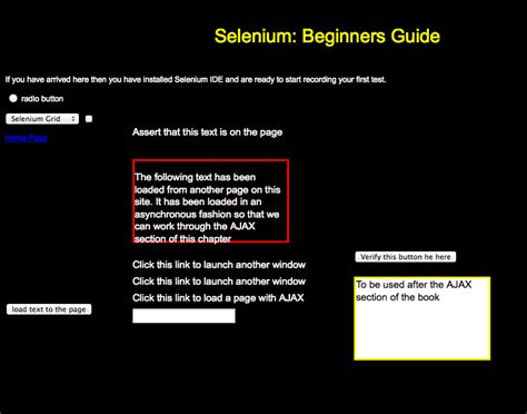 testhead practicum selenium 2 testing tools beginner s guide getting