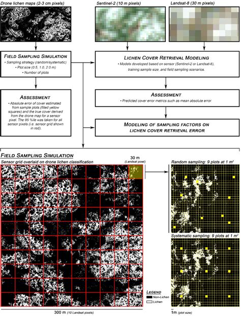 Using Drone Mapping To Evaluate Error Of Plot Based Field Surveys And
