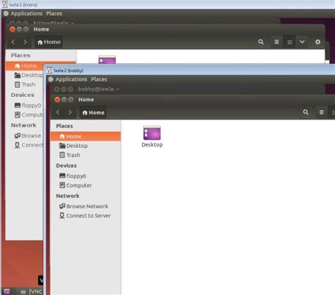 how to install vnc server on ubuntu 14 04