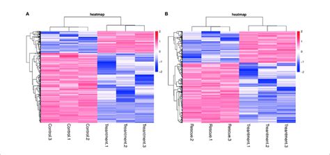 Cluster Diagram Of Differentially Expressed Genes The X Axis