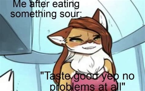 Posting A Cropped Yiff Meme Every Day Until Nnn Is Over Day 14 R
