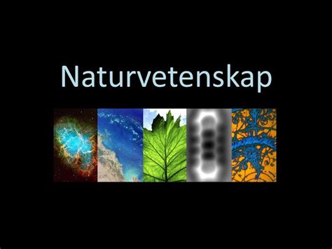 Skolbanken · Terminsplanering No åk 8 Vt18
