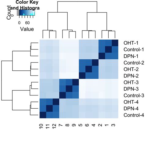 Rna Seq Differential Expression Work Flow Using Deseq2 Easy Guides