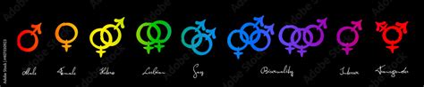 Male Female Hetero Lesbian Gay Bisexuality Intersex And