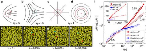 Spontaneous Excitation Of Topological Defects And Their Dynamics A D