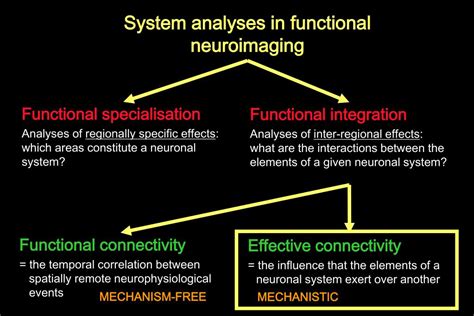 Ppt Dynamic Causal Modelling Dcm Theory Powerpoint Presentation